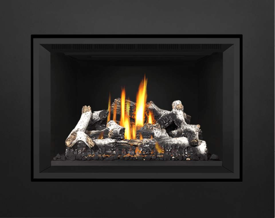 Napoleon - Oakville GDIX4 (C and C Chimney and Fireplace Services ...