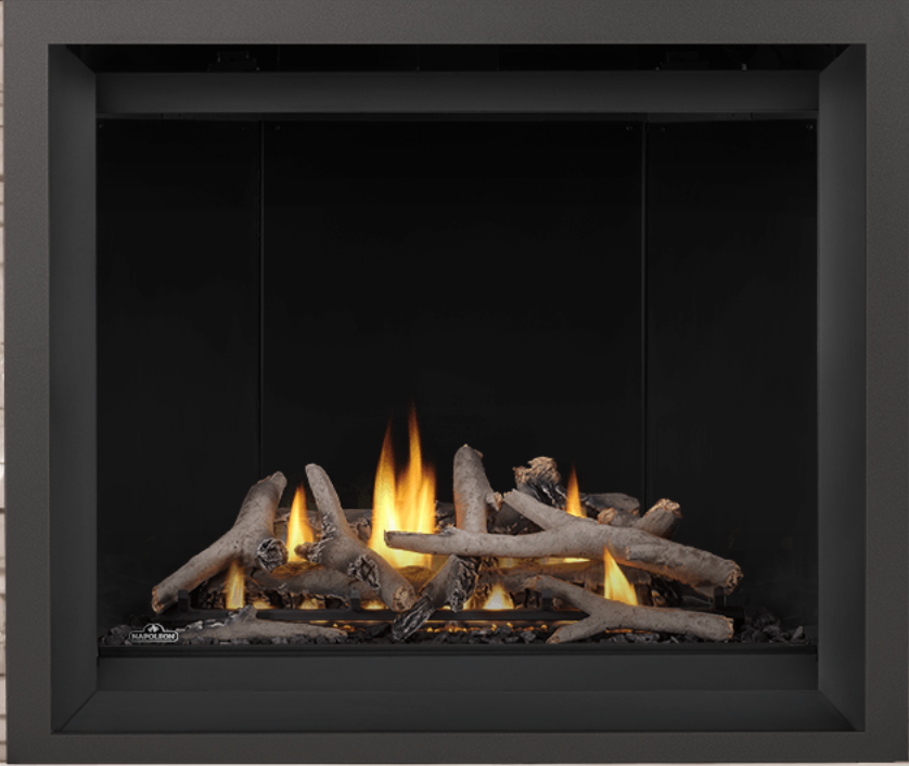 Napoleon - Altitude 42X (C and C Chimney and Fireplace Services ...