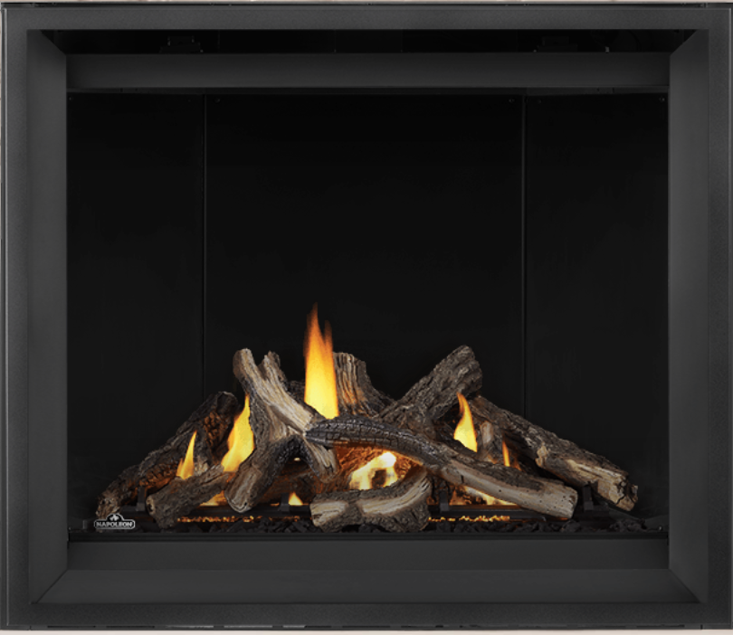 Napoleon - Altitude 42X (C and C Chimney and Fireplace Services ...