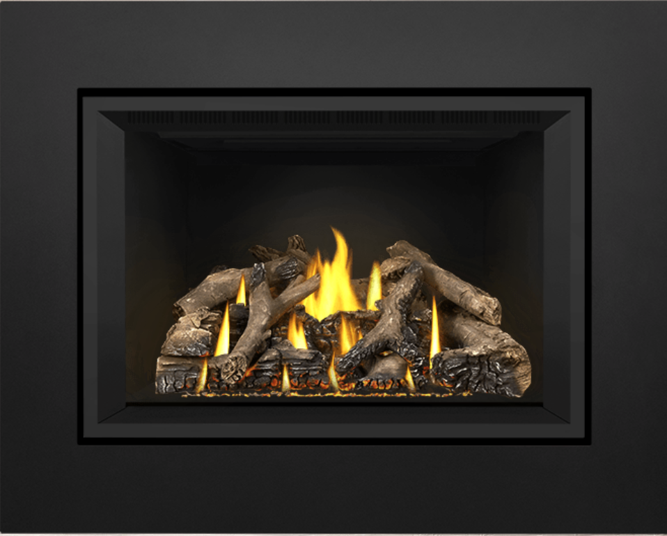 Napoleon - Oakville GDIX4 (C and C Chimney and Fireplace Services ...